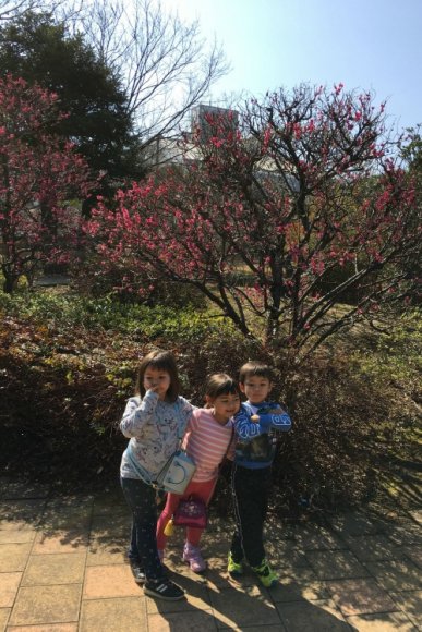 An Introduction to Tokyo with Young Kids • Our Globetrotters