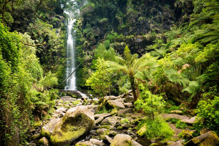 Fun things to do in Lorne & the Great Ocean Road with Kids
