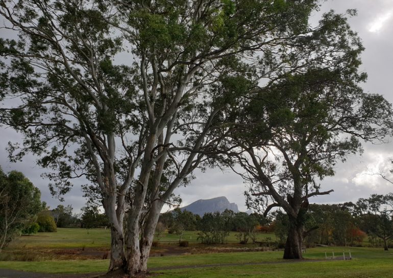 Exploring Dunkeld and the Southern Grampians with Kids • Our Globetrotters