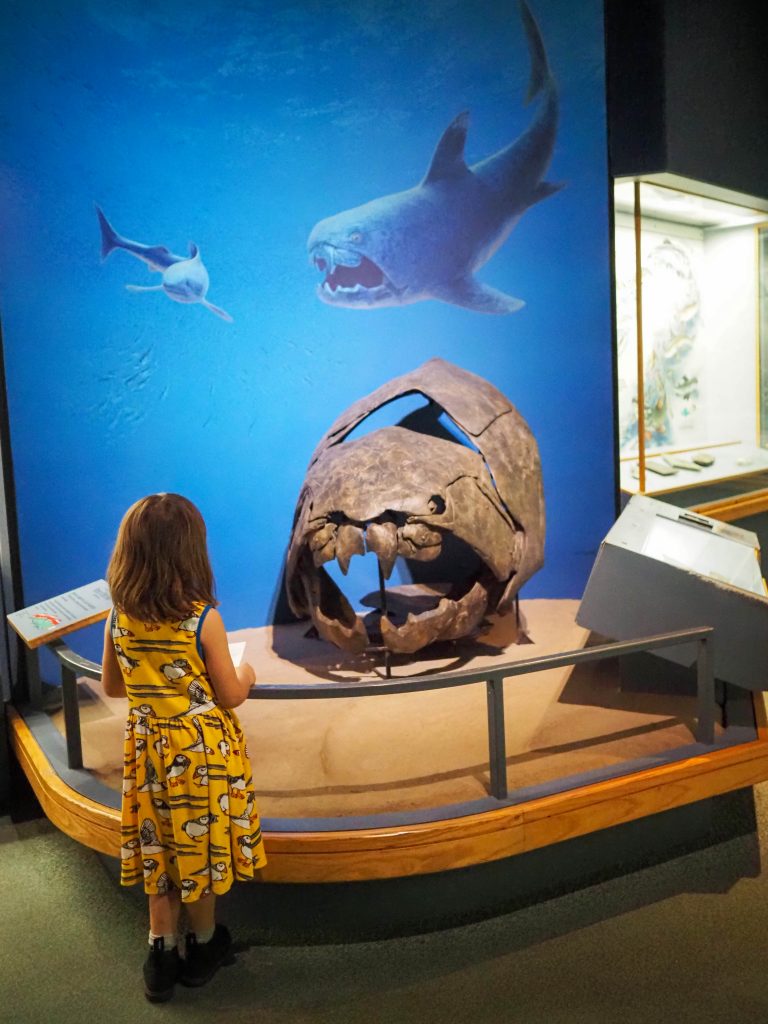 Navigating the Best of Denver with Family • Our Globetrotters