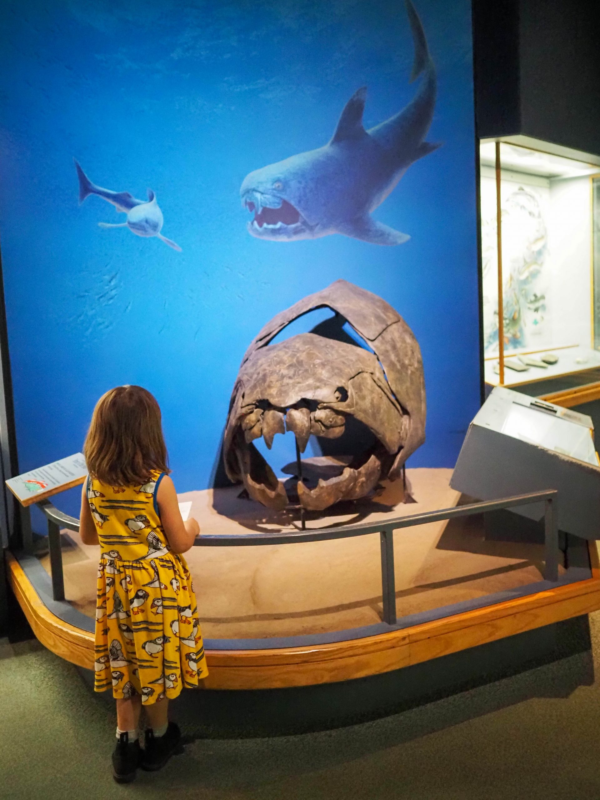 Navigating the Best of Denver with Family • Our Globetrotters