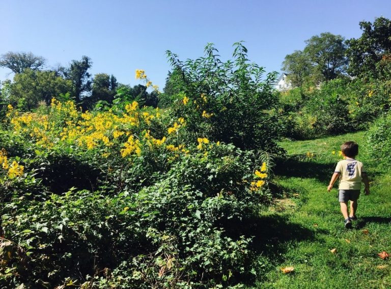 10 Unique Ways to Explore Washington, D.C. with Kids • Our Globetrotters