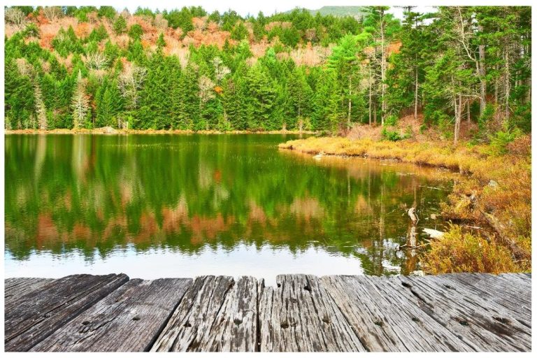 10 Best Campgrounds to View Fall Foliage in the US • Our Globetrotters