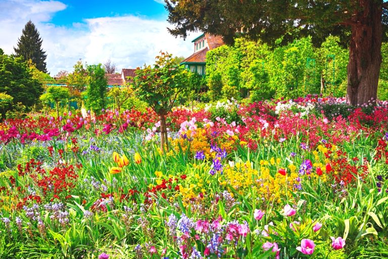 Best Places To See Spring Flowers In Europe • Our Globetrotters