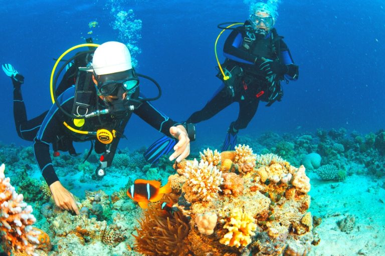 Dive Sites Worth the Journey: Scuba Destinations That Exceed Their ...