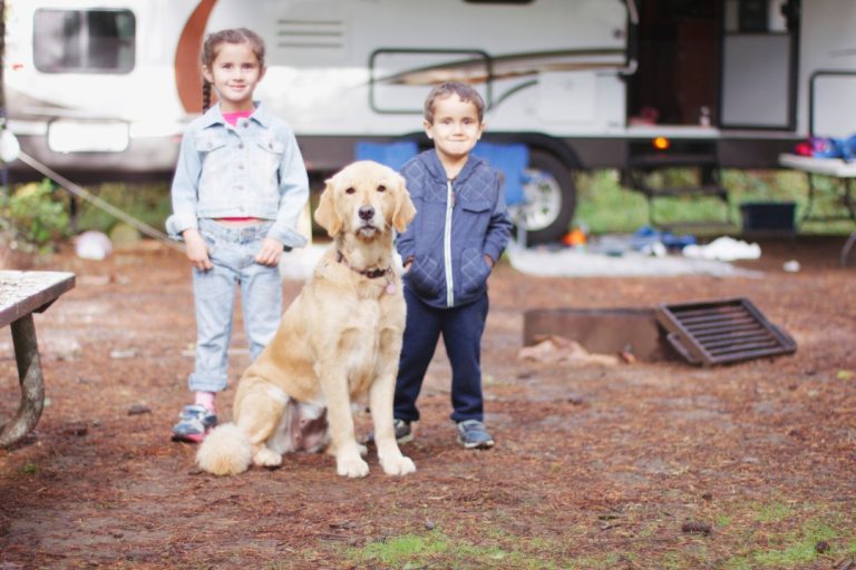 Van Life with Kids: Tips for Family Adventures on the Road • Our ...