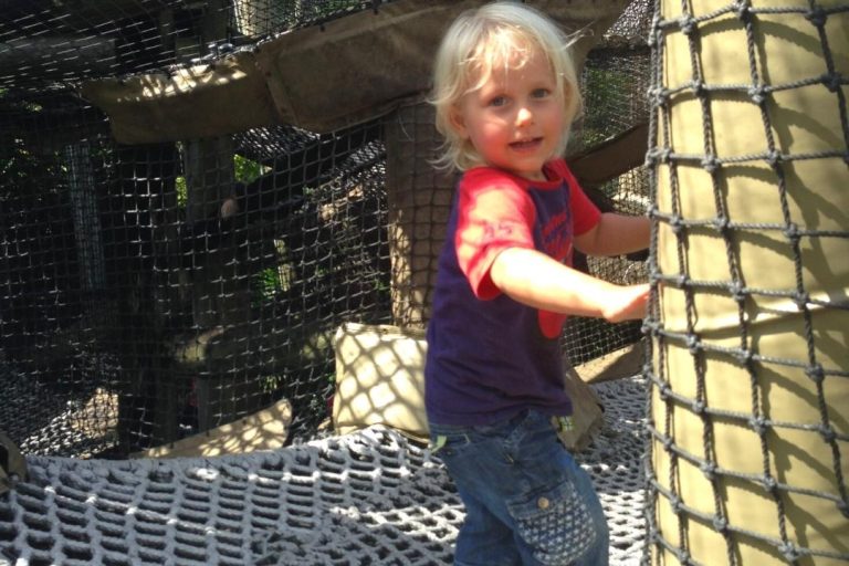 Top Tips Tackling Universal Orlando With Toddlers • Our Globetrotters